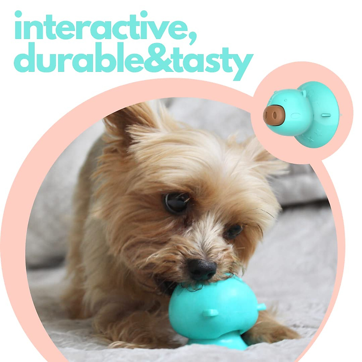 Dog Chew Toy for Mental Stimulation Anxiety Relief Dental Hygiene for Small and Medium Dogs Slow Feeder Non Toxic Durable Includes Biscuit Refills