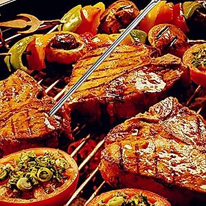 Stanbroil Thermometer Probe with Clips, Set of 2 Waterproof Meat Probe Replacement for Maverick ET-732/733 and Ivation IVA-WLTHERM IVAWT738