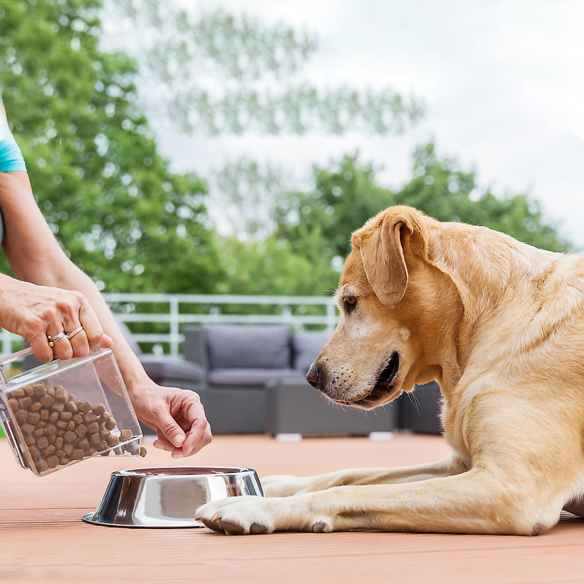 Palksky 468-Cavity Mini Round Silicone Mold/Chocolate Drops Mold/Dog Treats Pan/Semi Sphere Gummy Candy Molds for Ganache Jelly Caramels Cookies