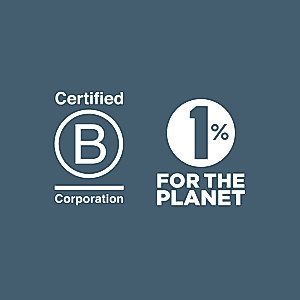 U Konserve Platinum Silicone Food Storage Bento Box Dual Seal Container - Leak Proof, Shatter Proof, Dishwasher Safe, Plastic Free - 20oz (Seafoam)