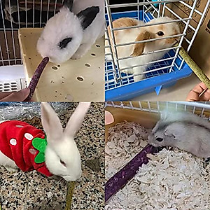 Natural Timothy Rabbit Hay Sticks 15PCS Flowers Flavored Bunny Chew Toys Handmade Hamster Timothy Molar Rod Teeth Treats for Rabbit Hamster Chinchilla Guinea Pig Gerbil