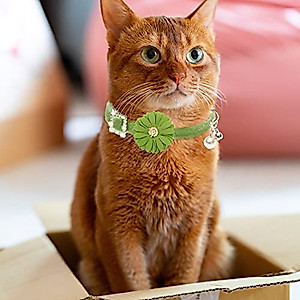 ZEEMIAS Breakaway Cat Collars with Bell - 3 Pack Flower Bling Cute Cat Collars for Girl Boy Cats - Adjustable Soft Velvet Cat Collar Accessories for Kitten, Adult Cats, Puppy