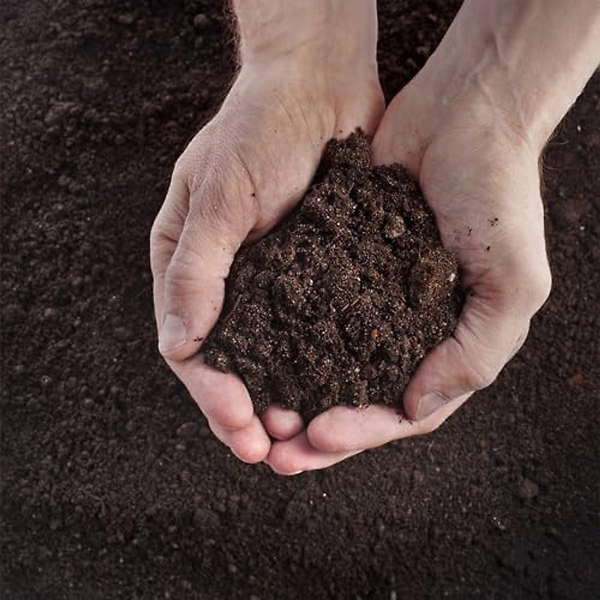 SuperMoss 01999 Agromin Organic Recycled Green Material Potting Mix, 4 Quart, Natural