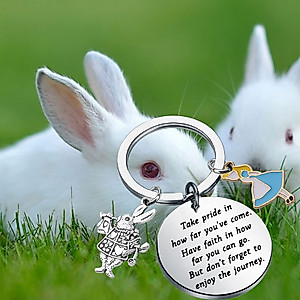 FUSTMW Alice Gifts Keychain Rabbit Alice Pendant Wonderland Inspired Gifts Cartoon Keepsake Keychain Friendship Gifts (silver)