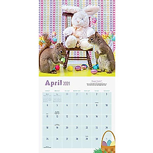 The Secret Life of Squirrels Wall Calendar 2021