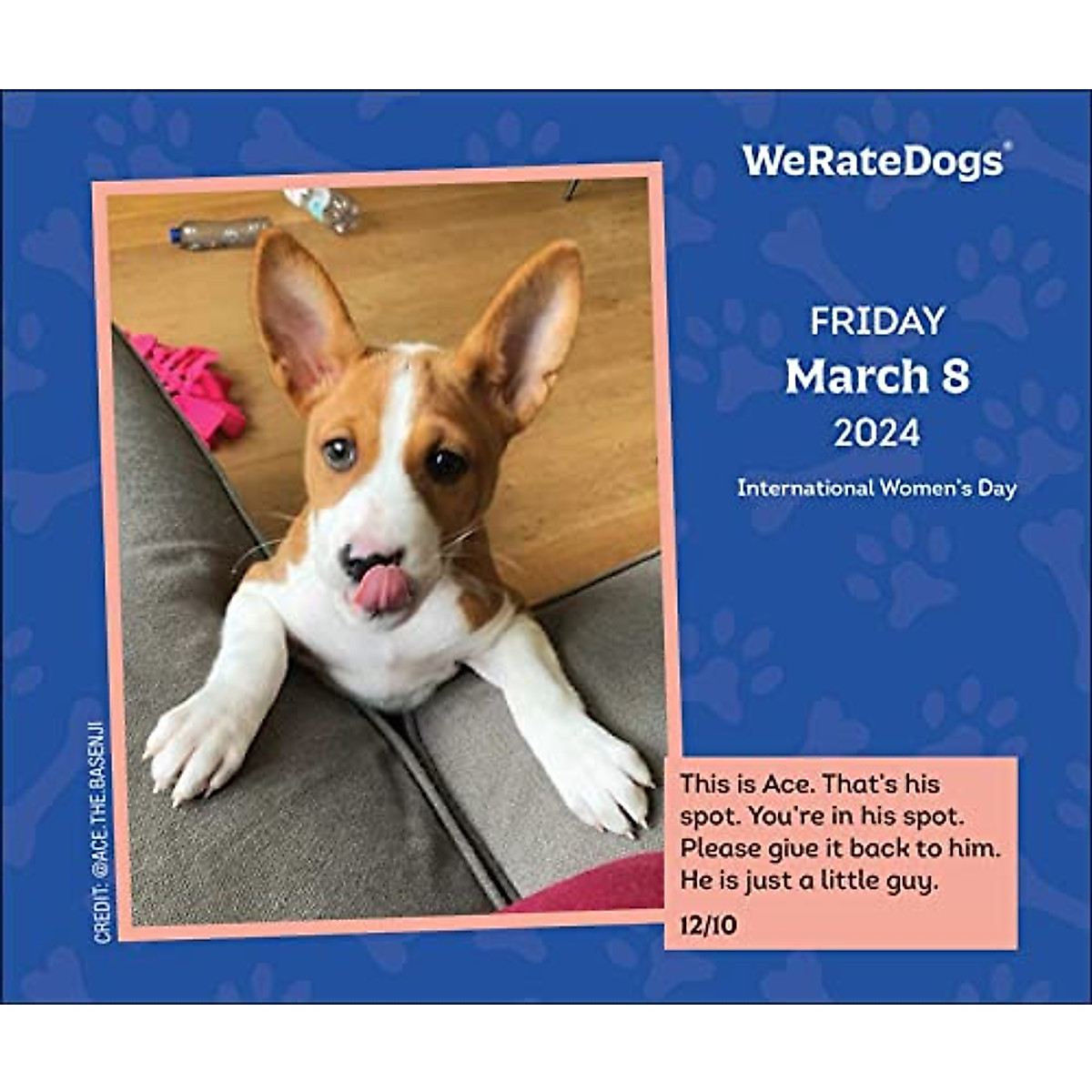 WeRateDogs 2024 Day-to-Day Calendar
