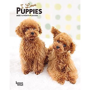 I Love Puppies 2022 6 x 7.75 Inch Spiral-Bound Wire-O Weekly Engagement Planner Calendar | New Full-Color Image Every Week | Animals Dog Breeds Puppy