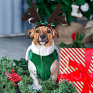 2 Pieces Christmas Dog Costume Outfit Reindeer Dog Costume with Green Xmas Tree Clothes and Elk Reindeer Antler Headband, Warm Winter Puppy Coat Deer Headwear for Christmas Pet Party (Medium)