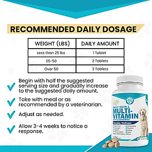 Wanderfound Pets 10-in-1 Dog Multivitamin, Chewable Dog Vitamins with Glucosamine, D3, and MSM, Dog Health Supplies for Immune System and Joint Health, Liver Flavor, 60 Tablets