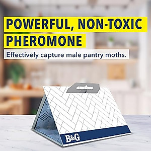 B&G Pantry Moth Traps with Pheromones Prime (2-Pack), Odorless Kitchen Moth Prevention, Indian Meal Moth Traps for House Pantry, How to Get Rid of Moths in House, Sticky Glue Food Moth Traps