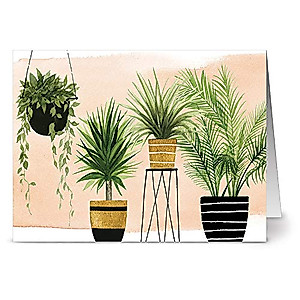 All Occasion Greeting Cards Assortment – 72 Pack - 6 Unique Indoor Oasis Design Series Set – KRAFT ENVELOPES INCLUDED – Blank Greeting Card – Glossy Cover Blank Inside – By Note Card Café