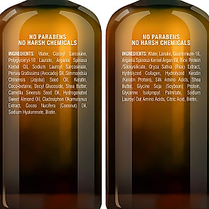 MAJESTIC PURE Argan Oil Shampoo and Conditioner Set | Nourishing & promotes Soft and Silky Hair | Sulfate Free | For All Hair Types, Men and Women - 2 x 16 fl oz