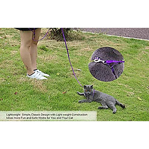 AMAGOOD 6 FT Puppy/Dog Leash, Strong and Durable Traditional Style Leash with Easy to Use Collar Hook,Dog Lead Great for Small and Medium and Large (Purple,5/8" x 6 Feet)