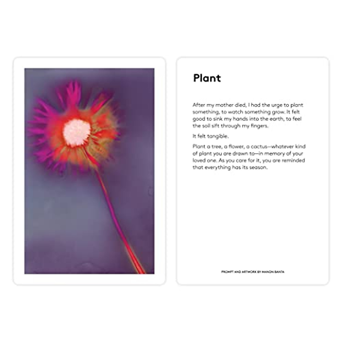 The Grief Deck: Rituals, Meditations, and Tools for Moving through Loss