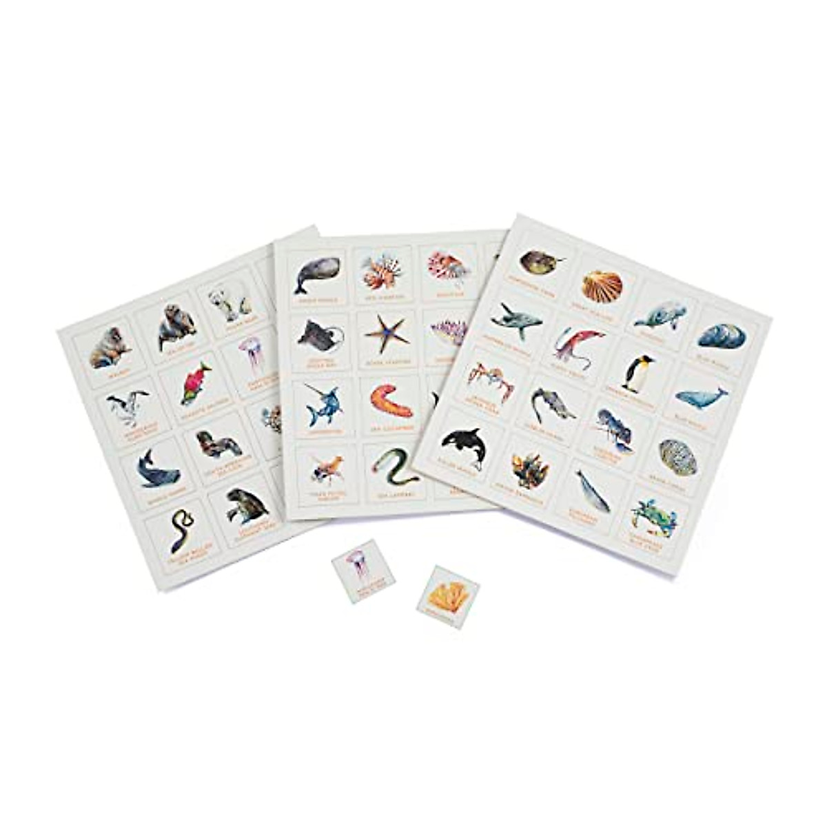 Laurence King Ocean Bingo