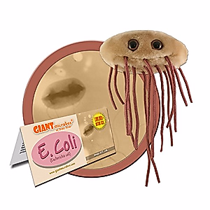 GIANTmicrobes E. Coli Plush – Learn About The Importance of Gut Health and Food Safety with This Unique Fun Gift for Families, Teachers, Chefs, Doctors, Gastroenterologists, Students and Scientists
