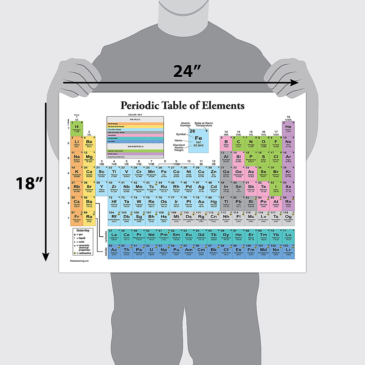 Palace Learning Periodic Table of the Elements Poster [White] - Science & Chemistry Classroom Chart (LAMINATED, 18" x 24")