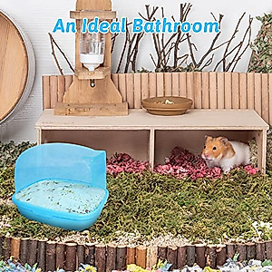 Hamiledyi Dwarf Chinchilla Sand Bath House,Syrian Hamster Sauna Room Plastic Small Animals Dust Bathroom Toilet for Hamster Gerbil Hedgehog Squirrel Totoro