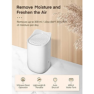 ZZWW Small Dehumidifier, Quiet Mini Dehumidifier 220 Sq.Ft (20oz Water Tank), Portable Dehumidifier for Bedroom, Bathroom, Closet White