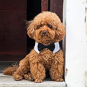 7 Striped Tie, Velcro Tie, Adjustable Pet Bow Ties ，Formal Classy Tuxedo Bow Ties，Multiple Colors to Choose Suitable for Pet Birthday, Party, Wedding, ，Surprise for Kittens and Puppies