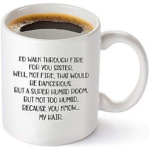 I'd Walk Through Fire For You – Funny Sister Gifts From Sister – Birthday Gift Ideas For Worlds Best Sister - 11 oz Coffee Mug Tea Cup White