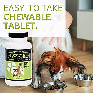 Youngevity Perpetual™ - Maximum Strength Anti-Aging Dog Bone & Joint Support - with Glucosamine, Choline, MSM, Milk Thistle, Calcium, Turmeric & More - 60 Chewable Tablets