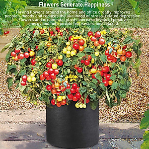 Growpropel 7 US Gallon 8 Pack Tall Grow Bags for Vegetables, Heavy Duty Nonwoven Aeration Fabric Deep Grow Pots with Handles