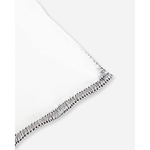 Adam's Interior Scrubbing Sponge