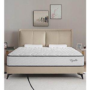 Cejato Queen Mattresses,12 Inch Queen Size Mattress in a Box,Memory Foam Hybrid White Mattress with Provide Support and Improve Sleep Mattresses,Medium Firm,CertiPUR-US.