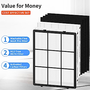VALZONE 115115 HEPA Replacement Filter A Size 21 Compatible with Winix PlasmaWave Air Purifier C535 5300-2 6300-2,1 Washable Pre-Filter, 2 HEPA and 4 Carbon Filters