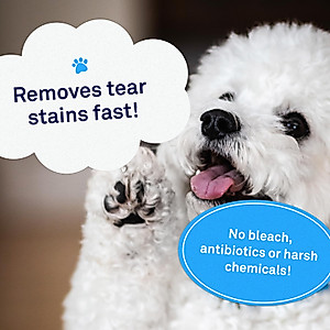 Petpost | Tear Stain Remover for Dogs - Best Natural Eye Treatment for White Fur - Soothing Coconut Oil - Maltese, Shih Tzu, Chihuahua Angels Approved - Chemical and Bleach Free - 8 oz.
