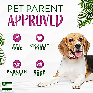 TropiClean Berry & Coconut Dog Wipes for Paws and Butt | Deep Cleaning Dog Grooming Wipes | Safe for The Face | Cat Friendly | 100 Count