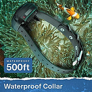 E-Collar - ET-300-1/2 Mile Remote Waterproof Trainer Mini Educator Remote Training Collar - 100 Training Levels Plus Vibration and Sound - Includes PetsTEK Dog Training Clicker