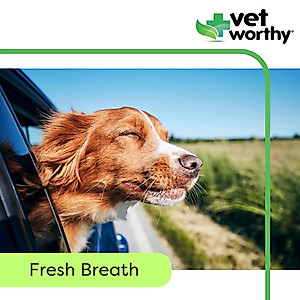 Vet Worthy Sparkling Breath for Dogs (16 oz)