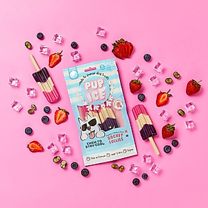 SPOT Pup Ice Ready to Freeze at Home Dog Treats-Edible Chews for Medium Breed Dogs & Puppies with Real Chicken | 3 Pack Bundle Edible Dog Treats (Strawberry, Chocolate & Banana) 6 Psc