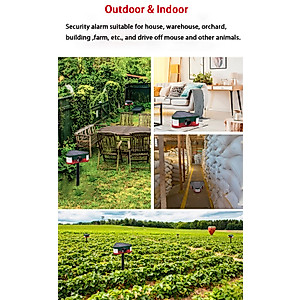 Solar Sound Light Alarm: 360°Motion Alarm Solar Strobe Light with Remote Controller, 129db Siren Sound Motion Detector IP65 Waterproof 4 Work Mode for Home, Farm, Barn, Yard, Chicken (Green+Red)