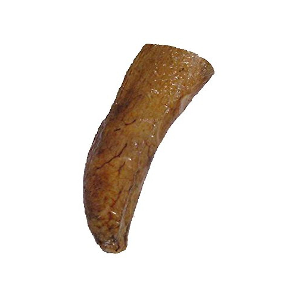 Qt Dog Buffalo Horn Core Chew (1 Each), Medium