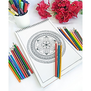 Power Mandalas Coloring book for adults, Spiral bound paperback, stress relieving intricate Offbeat mandalas for grown-ups