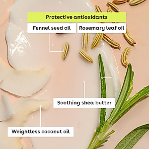 eos 100% Natural & Organic Lip Balm Sticks- Vanilla Bean, All-Day Moisture, Dermatologist Recommended, 0.14 oz, 2-Pack