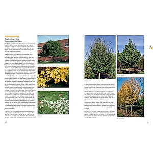 The Tree Book: Superior Selections for Landscapes, Streetscapes, and Gardens