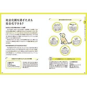 犬のいる暮らし 一生パートナーでいるために知っておきたいこと