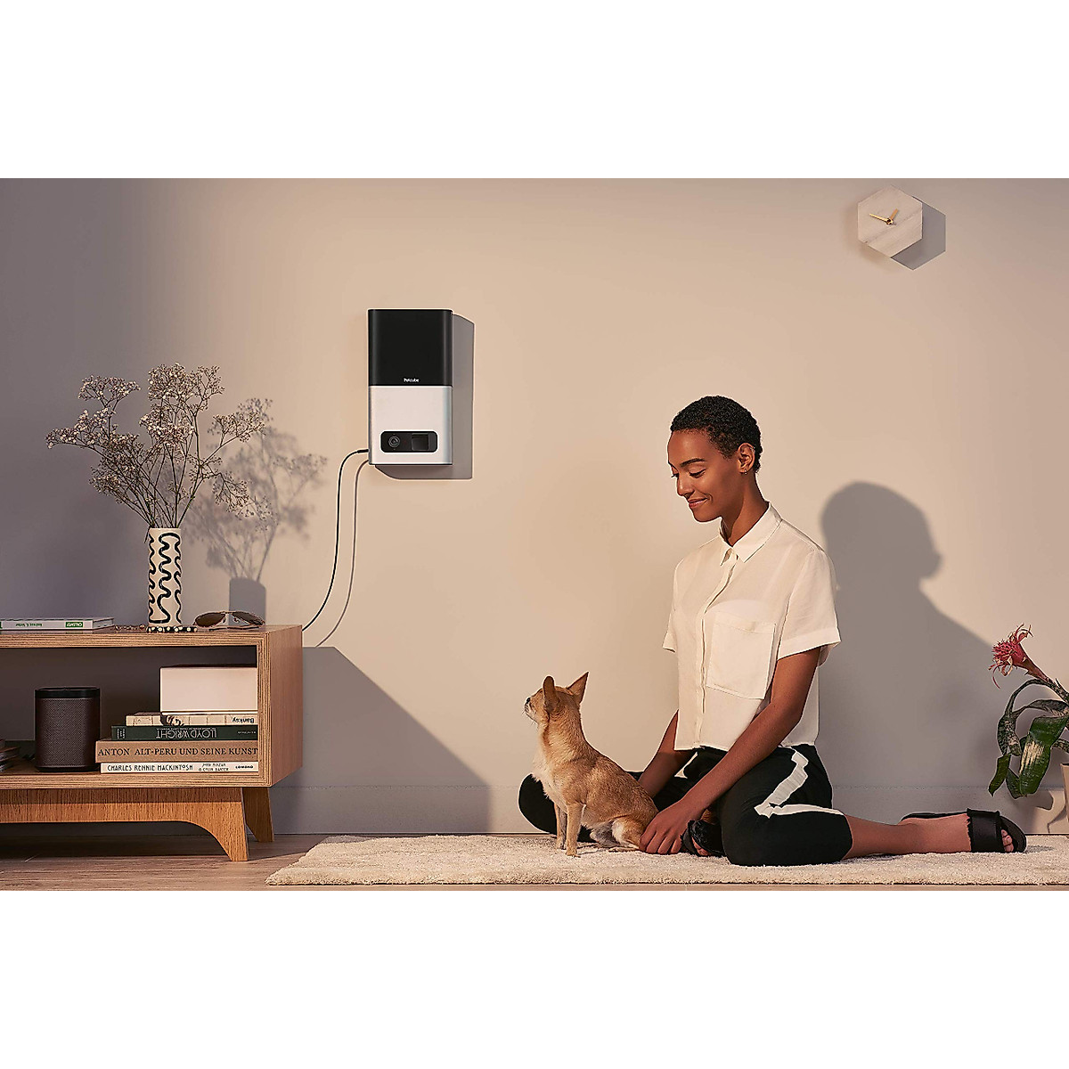 [2017 Item ] Petcube Bites Pet Camera with Treat Dispenser: HD 1080p Video Monitor, 2-Way Audio, Night Vision, Sound and Motion Alerts. For Dogs and Cats, Matte Silver (PB913NVTD)