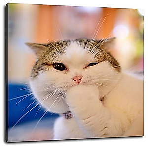 Fisting Cat Funny Animal Poster Print Art Picture 9302 Wall Art Canvas Prints Poster For Home Office Decorations With Framed 16"x16"