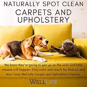 Well Life Plant-Based Upholstery & Carpet Cleaner - Cleans Daily Dirt, Grime, Great for Dog and Cat Owners, Homes with Small Children