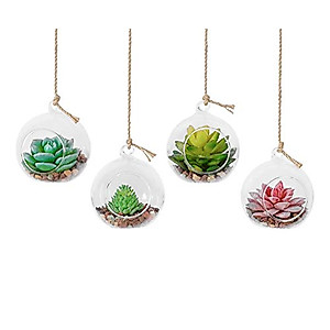 TQVAI 4 Pack Hanging Glass Globe Air Planter Terrarium Vase with 39 inch Sling (Not Included The Plants)