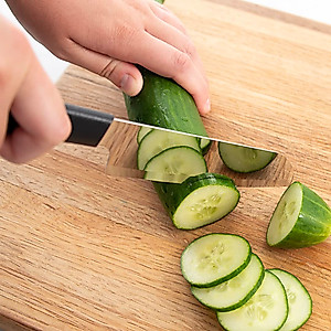 Rada Cutlery Cook’s Knife – Stainless Steel Blade and Black Steel Resin Handle Made in USA, 10-7/8 Inches