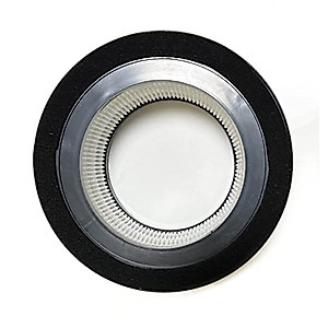 Nispira Replacement Filter L True HEPA + Activated Carbon Pre Filter Compatible with GermGuardian Air Purifier AC4200W FLT4200, 1 Pack