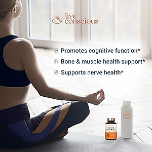 Live Conscious Magnesium Zinc & Vitamin D3 - Bioavailable Forms of Magnesium - Malate, Glycinate, Citrate - MagWell Bone & Heart Health, Immune System Support - 120 Capsules (2-Pack)