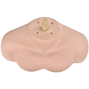 ZMS Professional Cosmetology Mannequin Head Shoulder Model Bust Shoulder Platform for Training Manikin Head