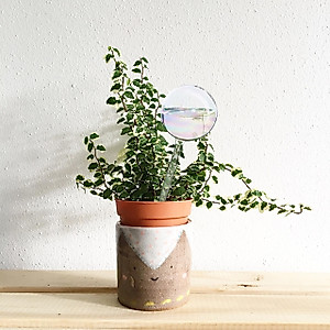 Koorabbee 4 Pcs Iridescent Glass Plant Watering Globes - 9 Inch Self Watering Planter Insert | Plant Watering Devices | Plant Watering Bulbs for Indoor and Outdoor Plants Accessories.